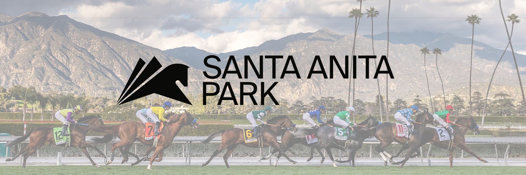 Santa Anita Videos - 1/ST TV